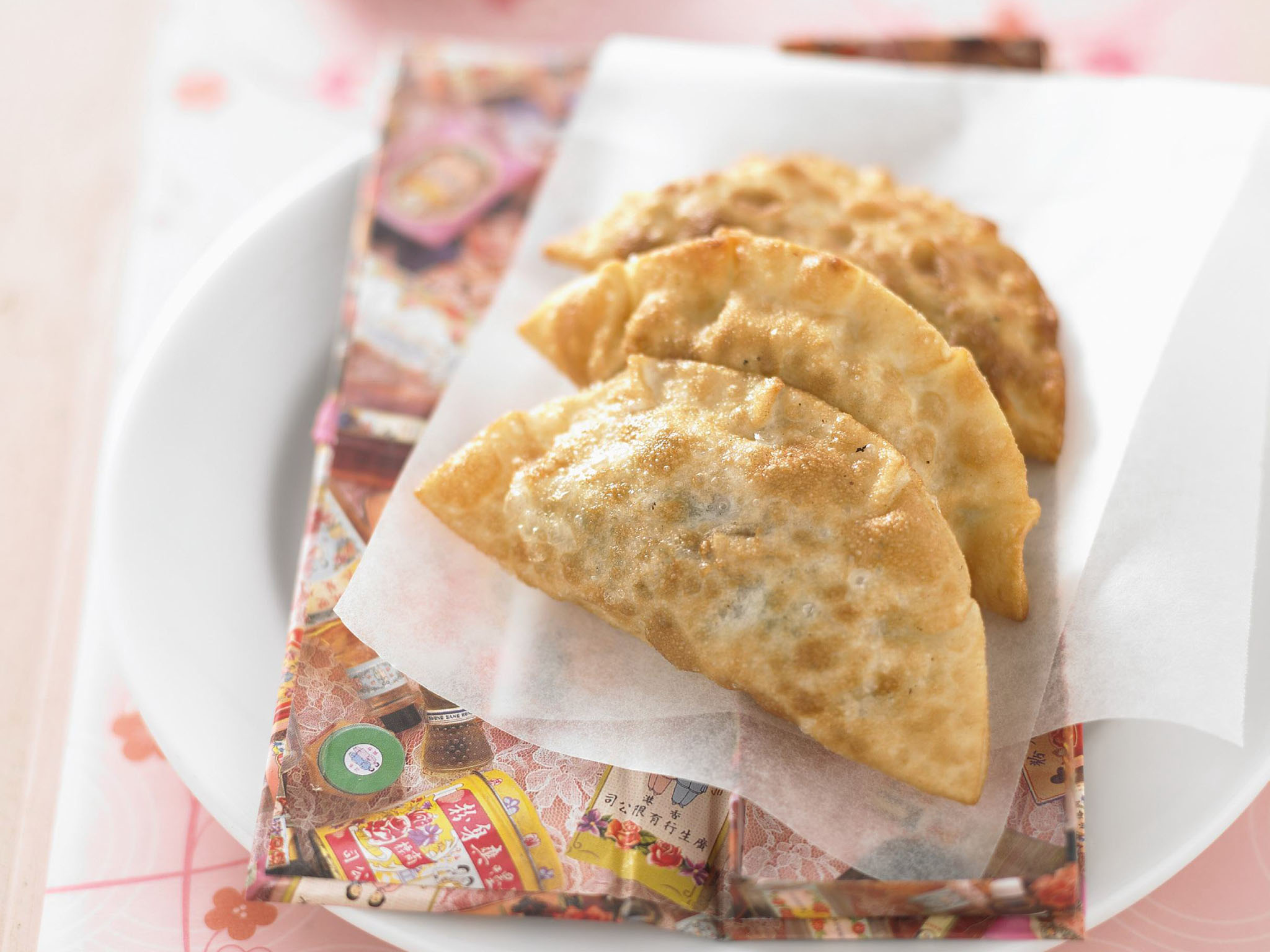 Duck and green onion gyoza | Women's Weekly Food