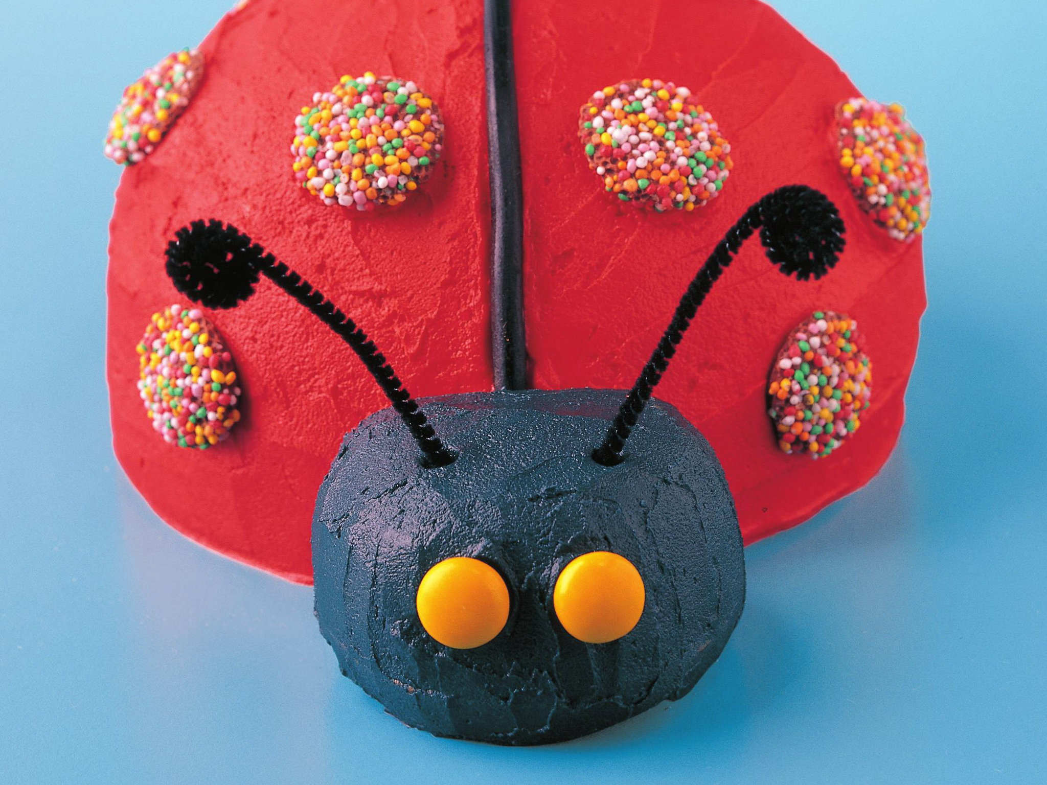 Ladybird birthday cake | Women's Weekly Food