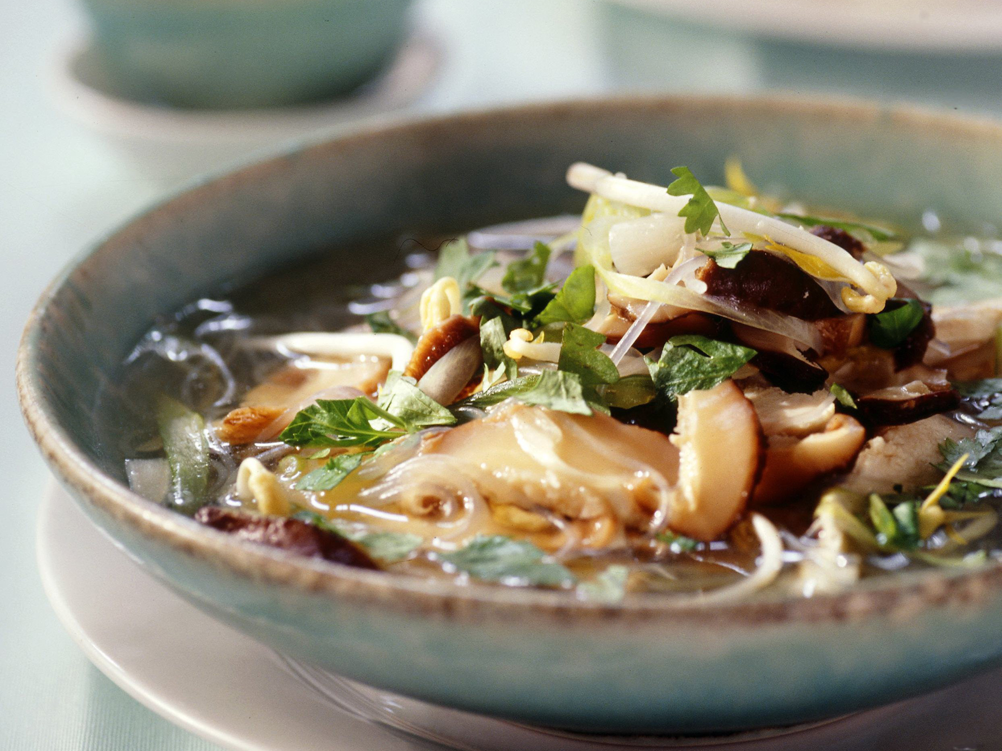Chicken noodle soup | Women's Weekly Food