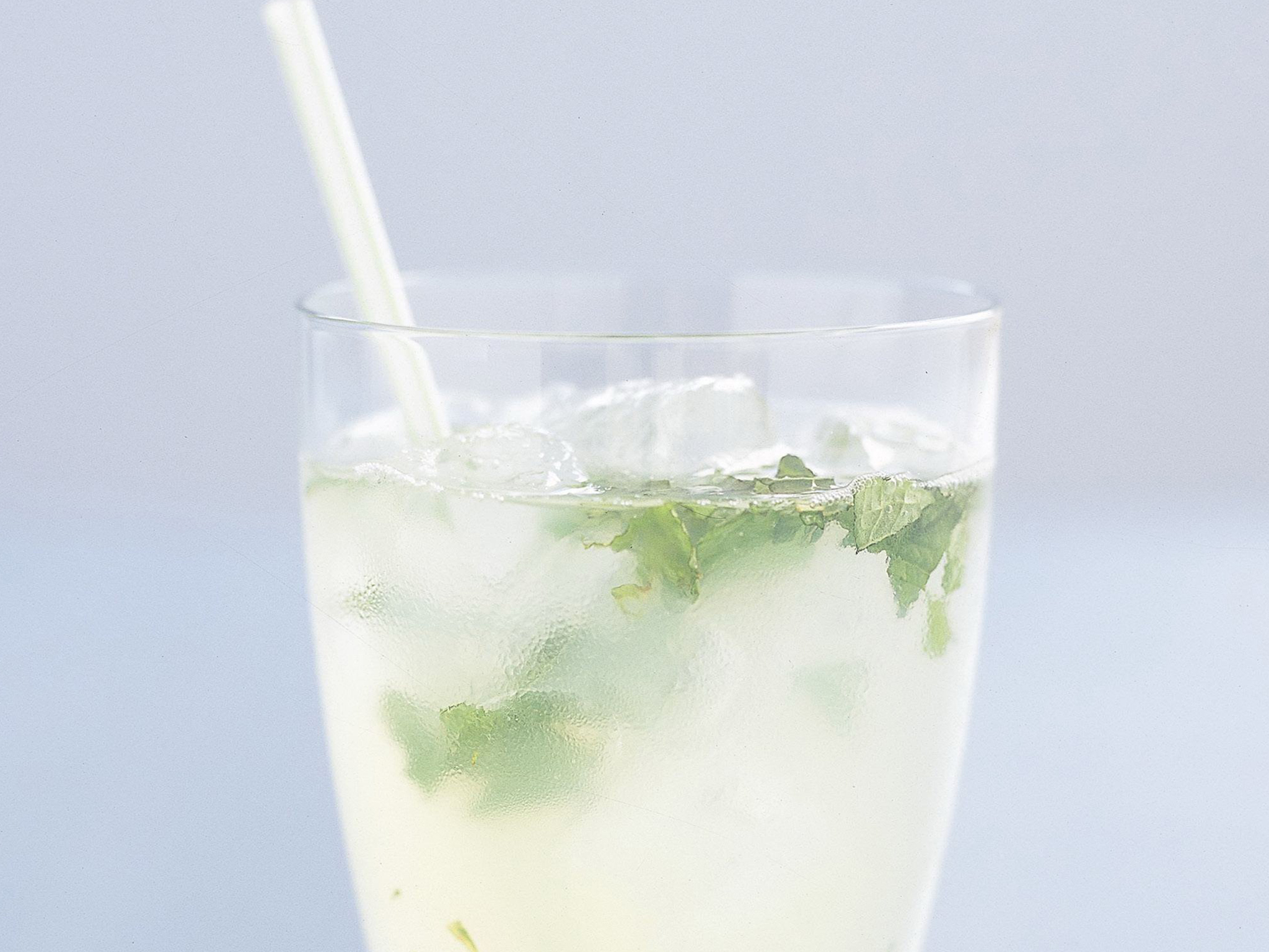 Lime and mint spritzer | Women's Weekly Food